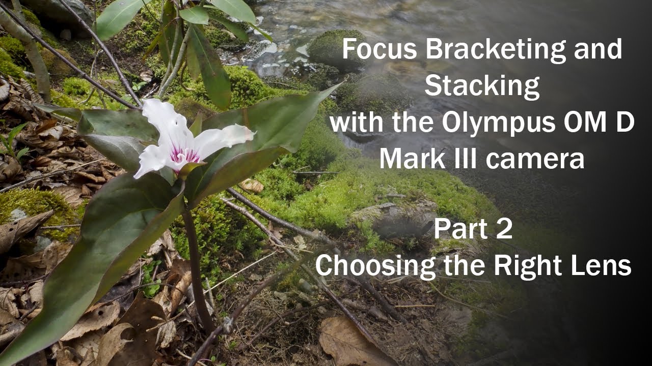 Focus Bracketing and Stacking with the Olympus OM D Mark III camera ...