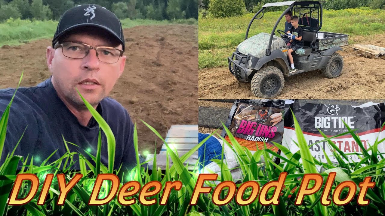 DIY Deer Food Plot. Suggestions welcome - YouTube