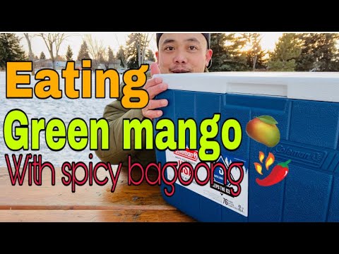 🇨🇦Eating green mango with spicy bagoong+lemon || inspired by Boy Tapang || Scooby Drew 📺 ||