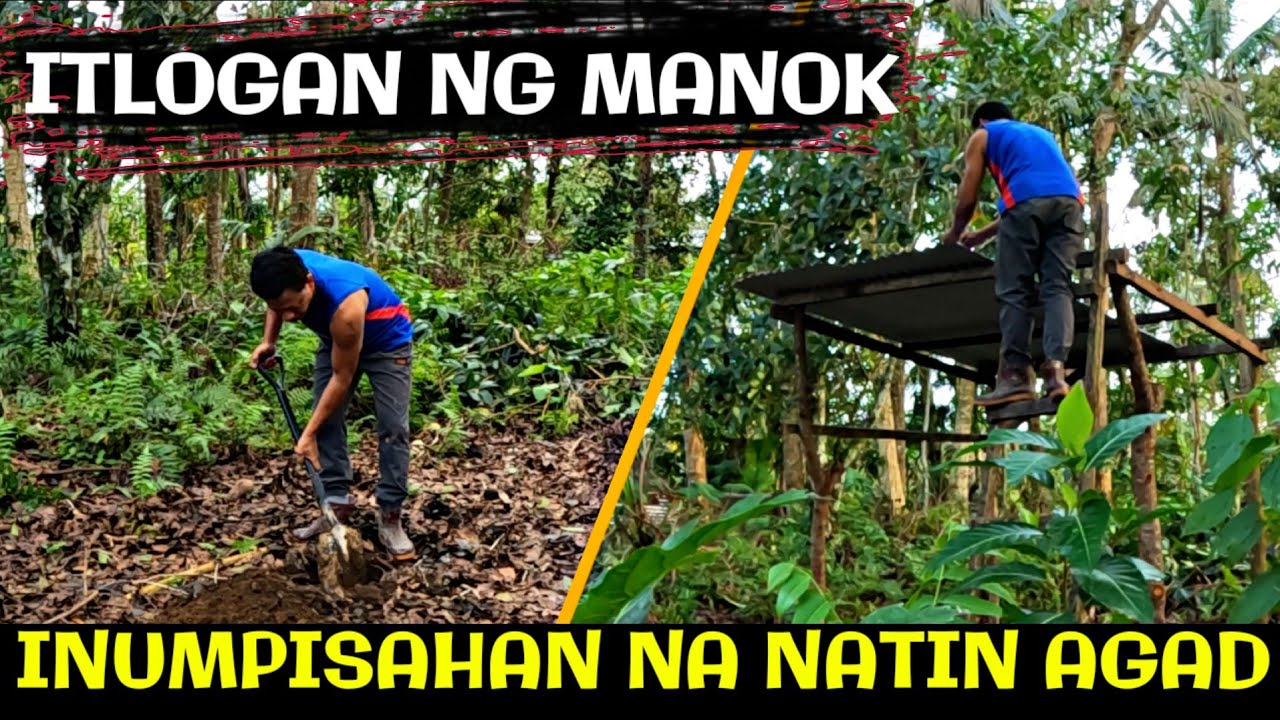 PAGGAWA NG ITLOGAN NG MANOK - YouTube