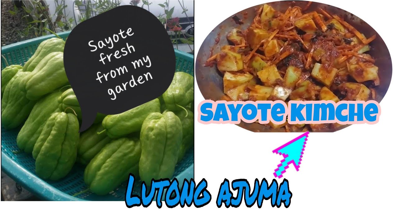 SAYOTE/CHAYOTE KIMCHE (MY FIRST SAYOTE RECIPE#'021) - YouTube