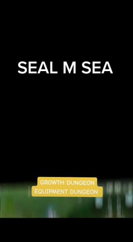 SEAL M SEA - YouTube
