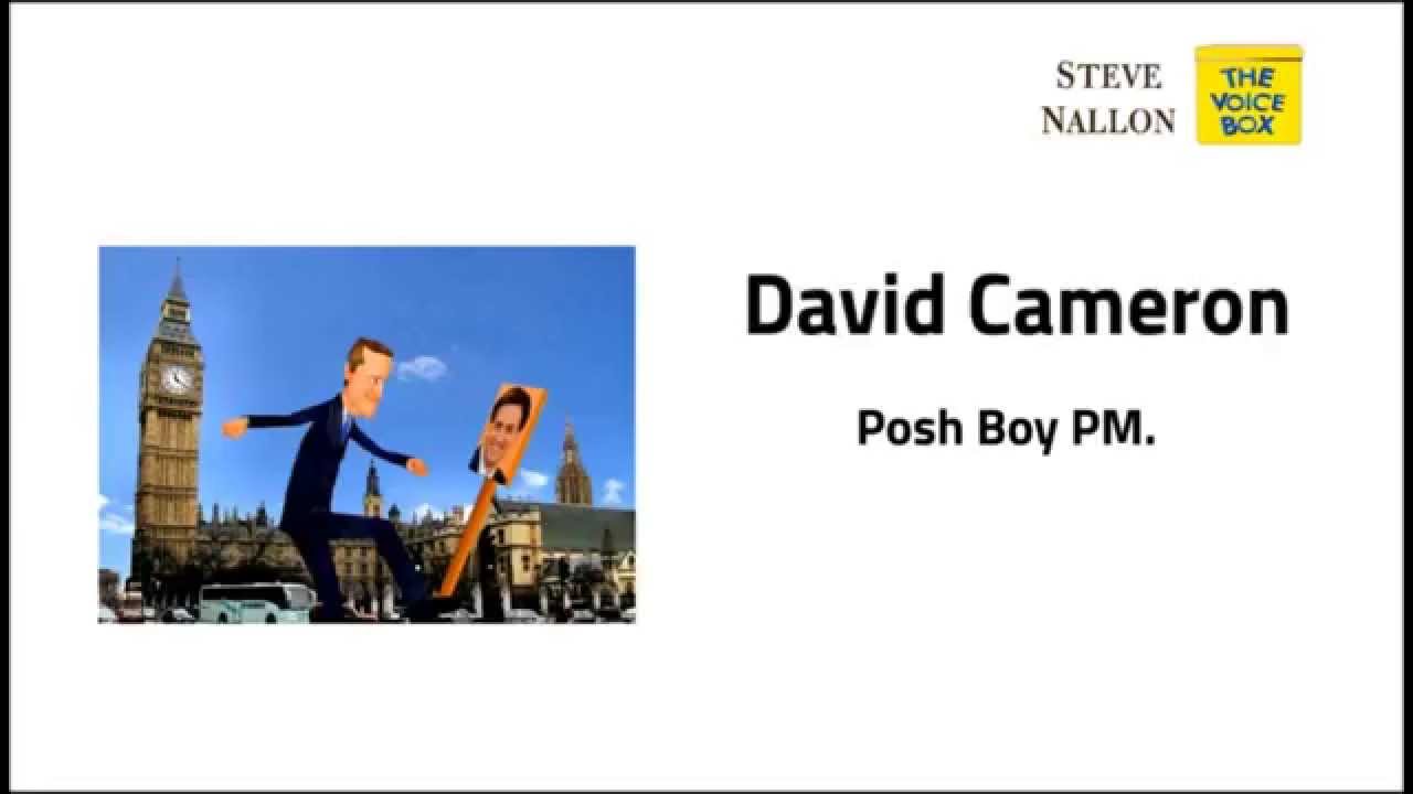 DAVID CAMERON - FROM THE STEVE NALLON VOICE BOX - YouTube