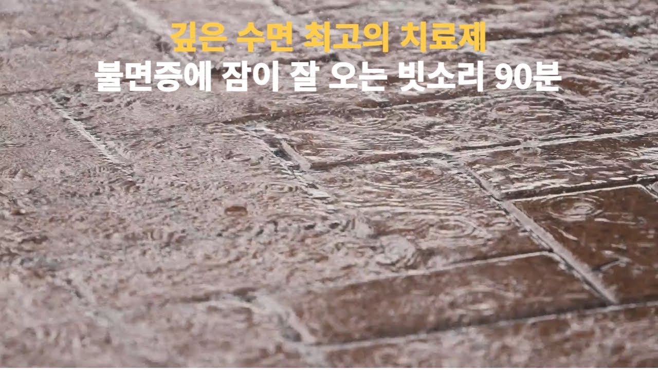 불면증엔 빗소리가 최고 백색 소음 10분 만에 잠이 드는 깊은 수면 마법의 자장가 백색 소음으로 비 내리는 소리가 자장가처럼 들리면서 깊은 수면을 취할 수 있다