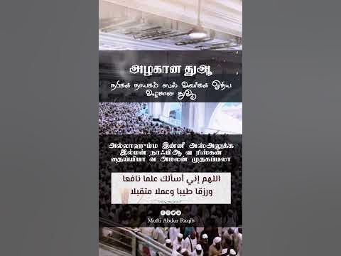 அழகான துஆ | நபிகள் நாயகம் ஸல் அவர்கள் கேட்ட துஆ | Mufti Abdur Raqib #shorts #reelsvideo #reels ...