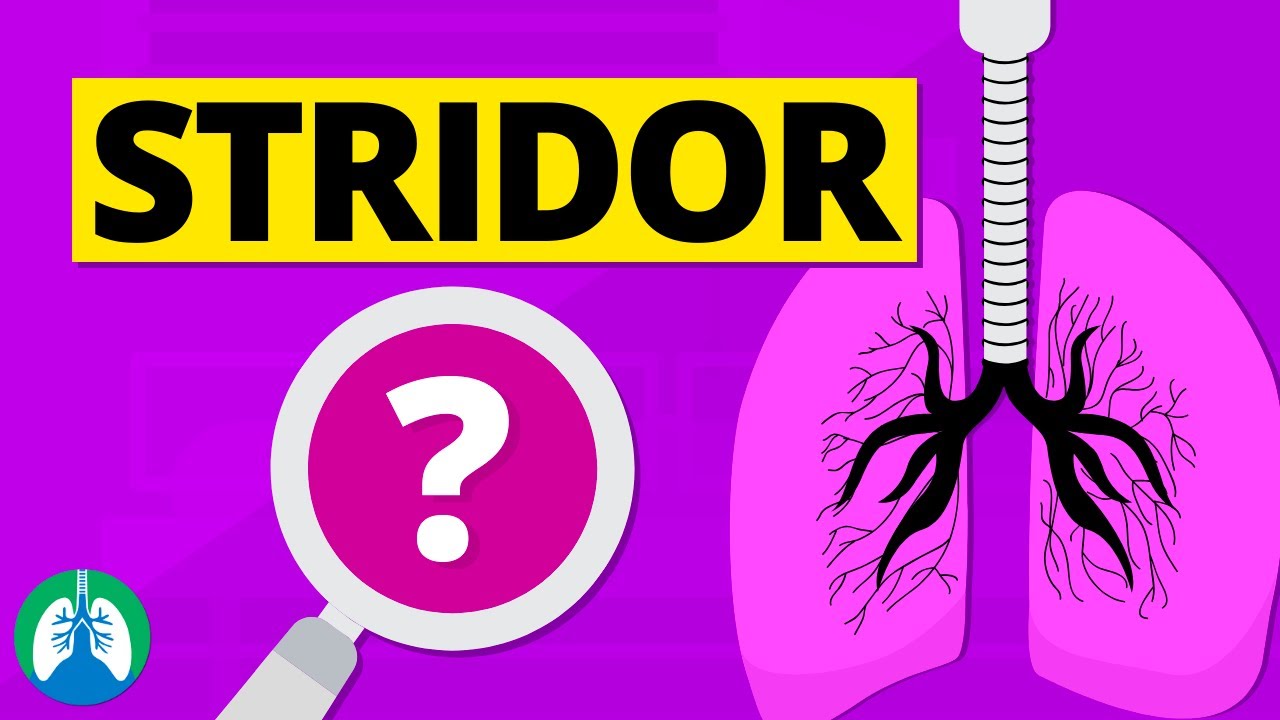 Stridor (Abnormal Lung Sounds) | Causes and Treatment - YouTube