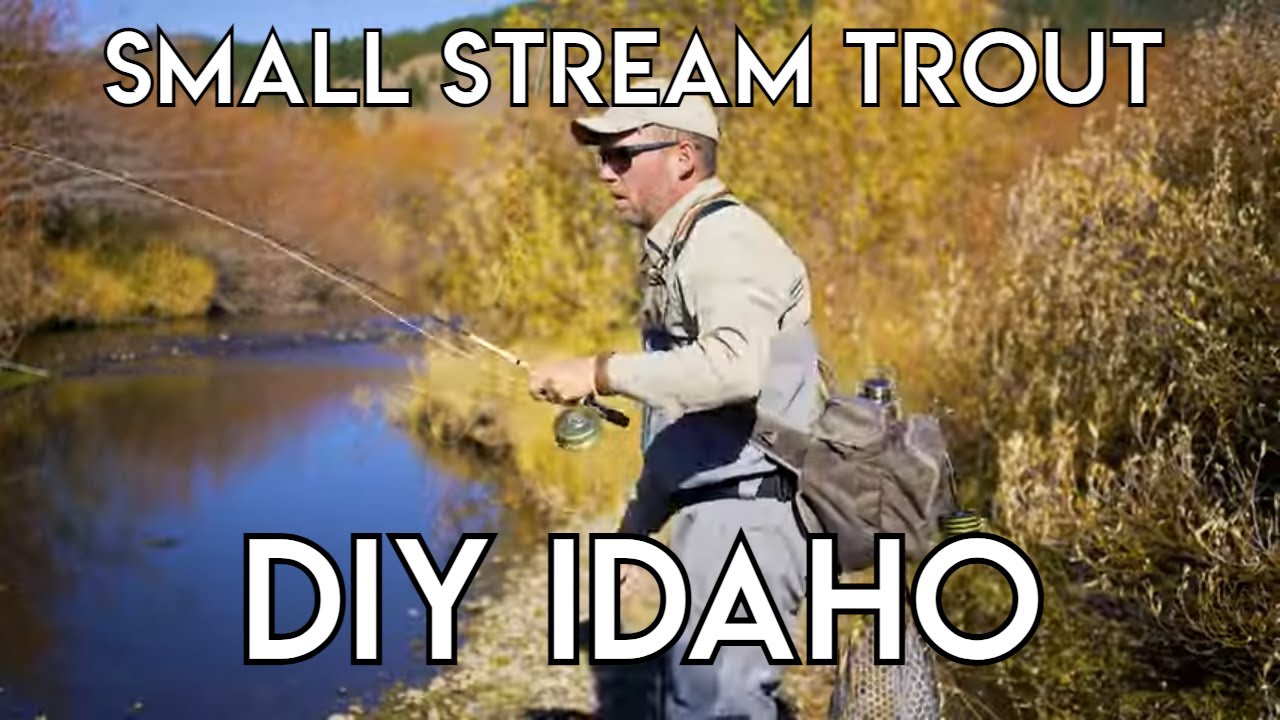 Small Stream Trout Fishing | Do-It-Yourself Idaho - YouTube