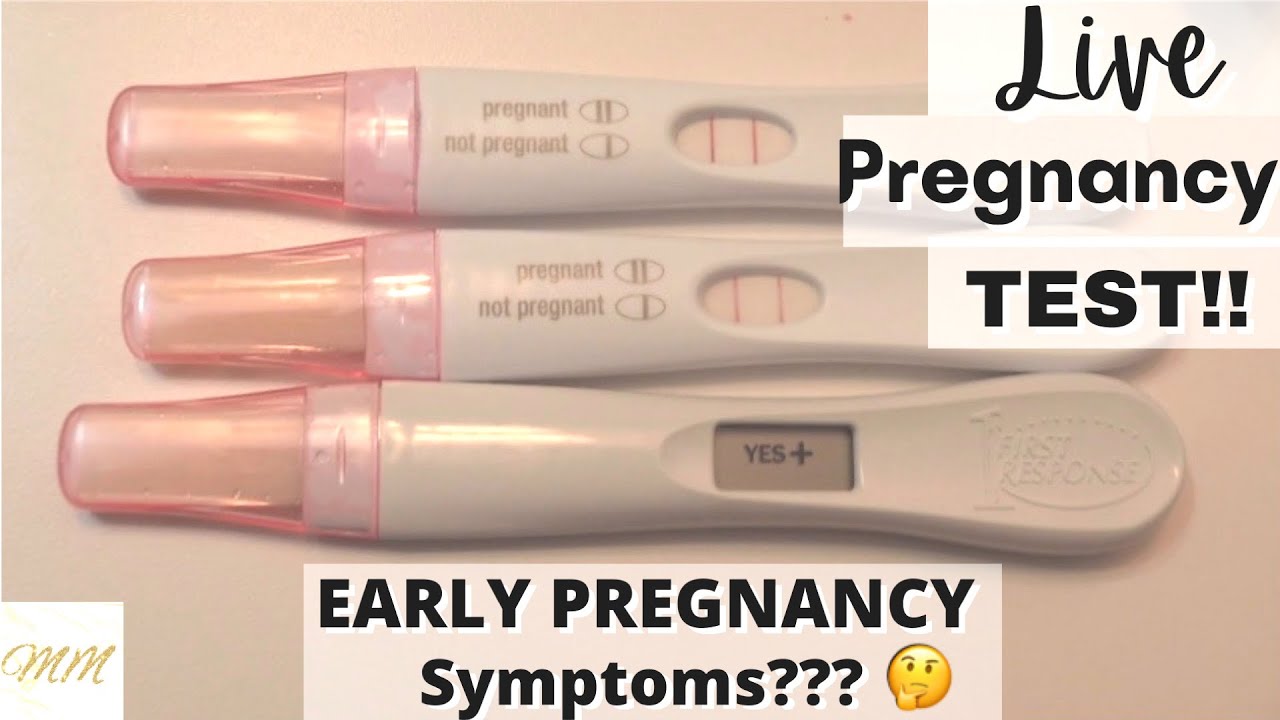 LIVE Pregnancy Test!! | My EARLY PREGNANCY SYMPTOMS & How I knew ...