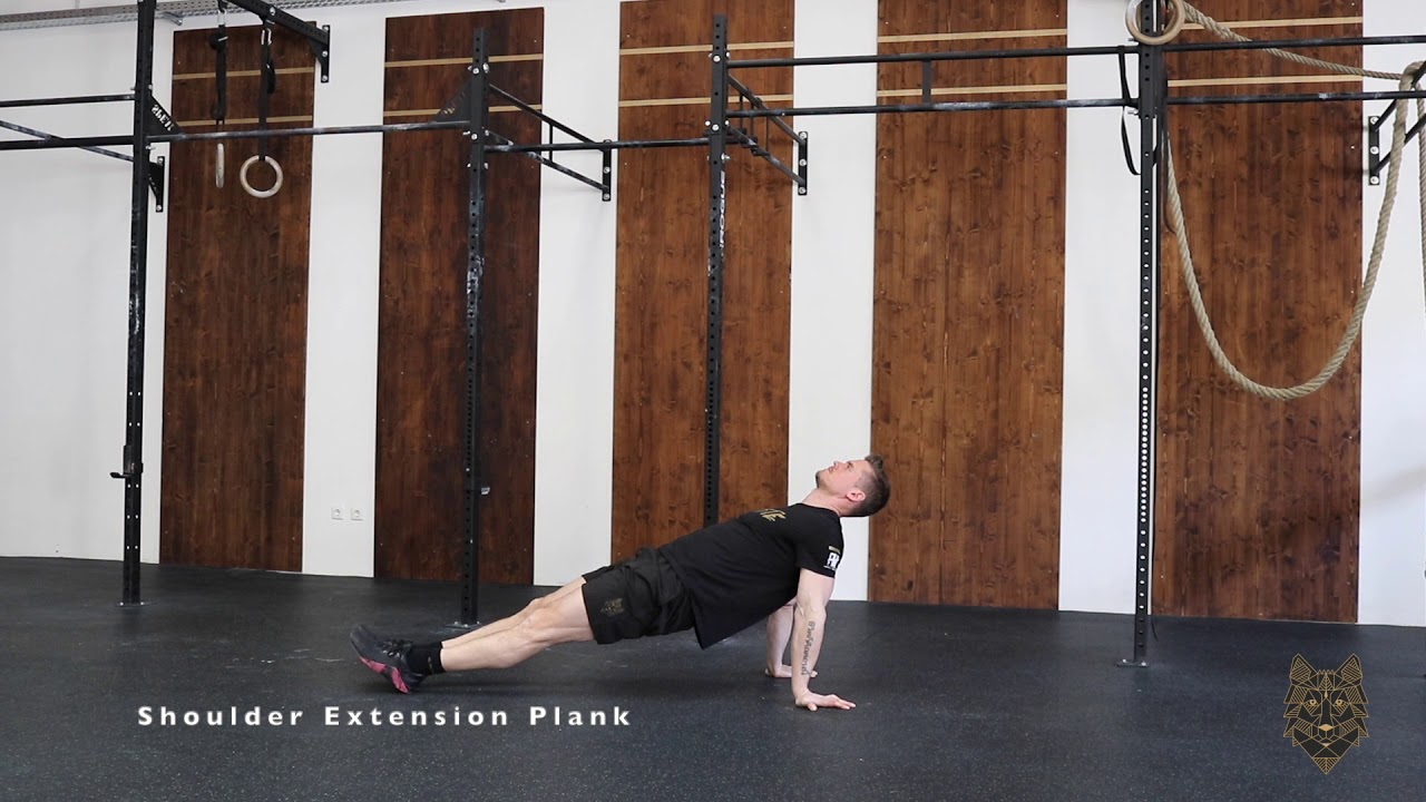 Shoulder Extension Plank - YouTube