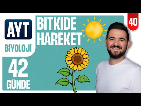 Bitkide Hareket | 42 GÜNDE AYRINTILI AYT BİYOLOJİ KAMPI 2026-2027 | 40.GÜN