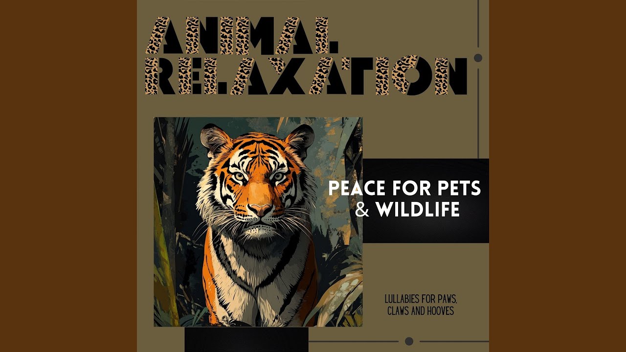 Peace for Pets & Wildlife - YouTube