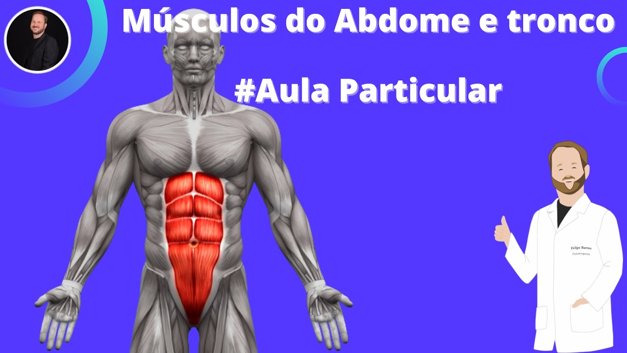 Músculos do Tórax e abdome - Aula Particular - YouTube