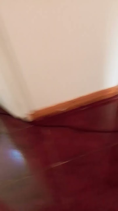 xsxsxs en el próximo video lo hago con una persona real - YouTube