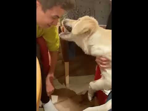 Lando Norris - 2020 Christmas, by Oliver Norris (Lando’s brother) - YouTube