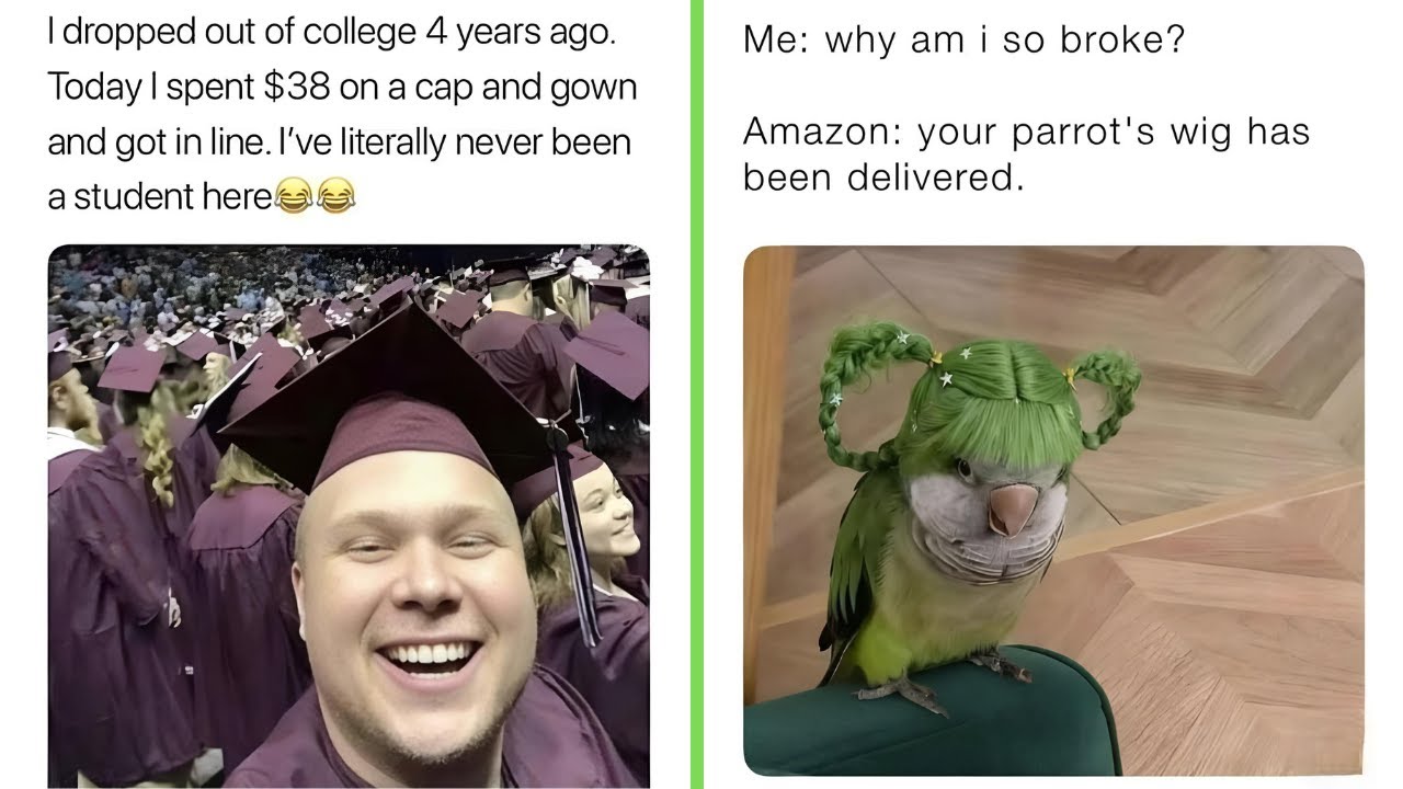 Funny Memes 71 | Why am I so broke? - YouTube
