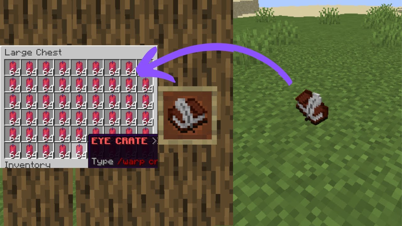 Trying to ruin a P2W minecraft server - YouTube