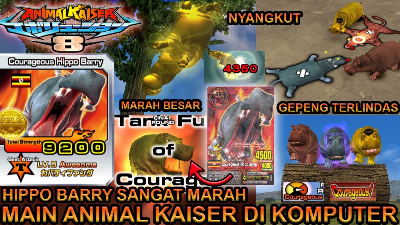 NYOBAIN HIPPO BARRY MARAH BANGET DI KOMPUTER !!! - ANIMAL KAISER EVOLUTION PC - YouTube