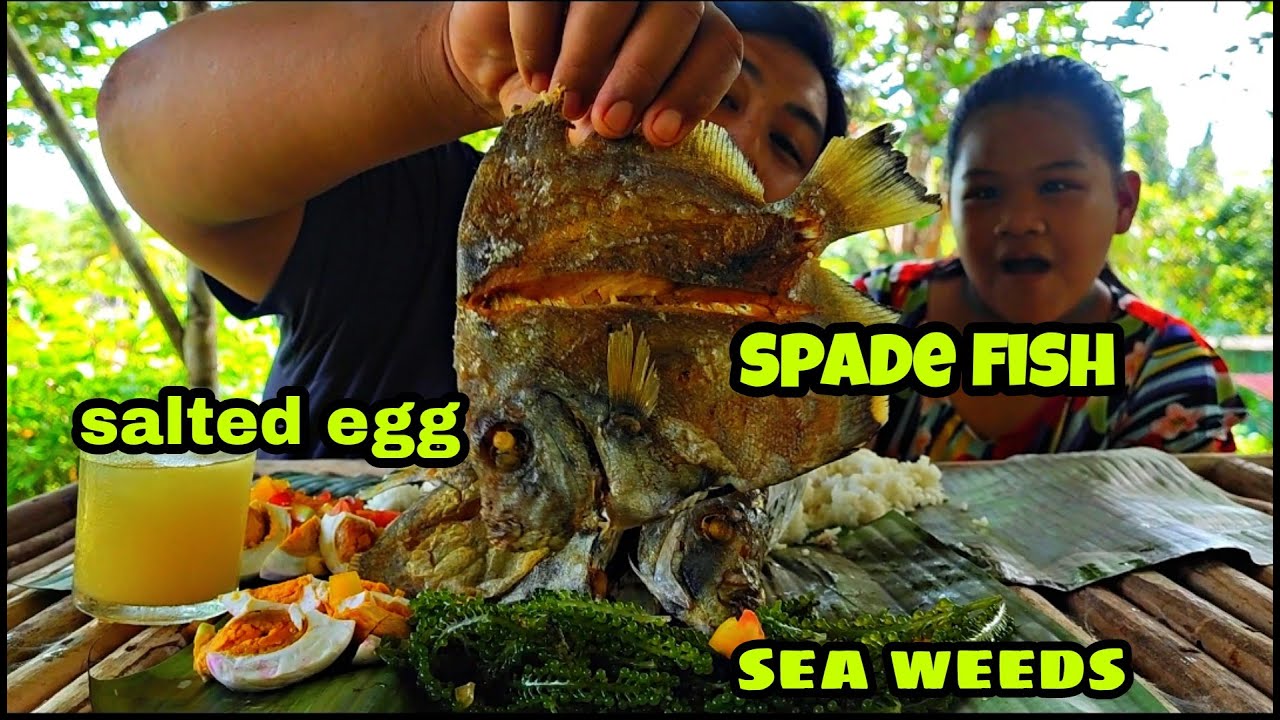 FRIED BAYANG(spade fish) SEA WEEDS and SALTED EGG MUKBANG # ...