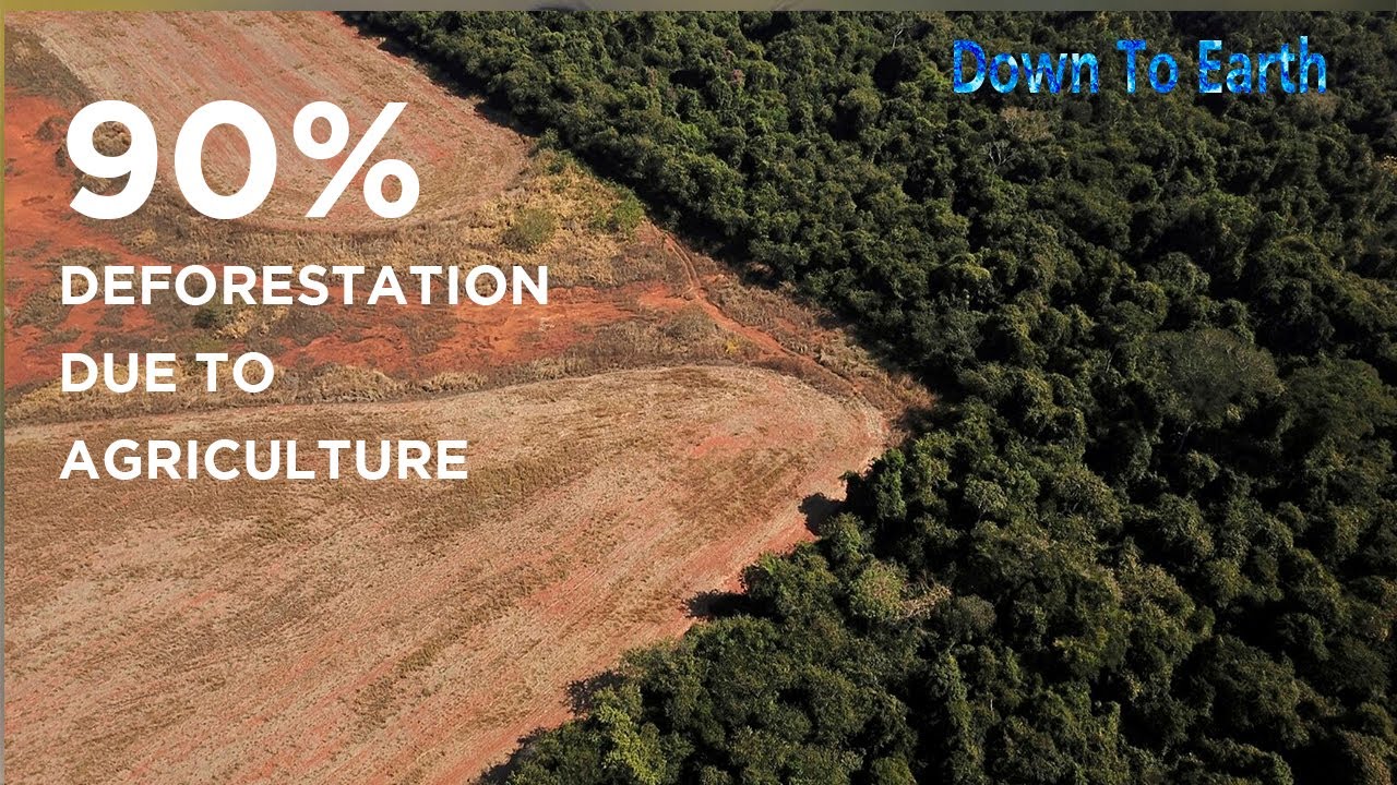 Food production will need 165-600 million hectares more land to meet ...