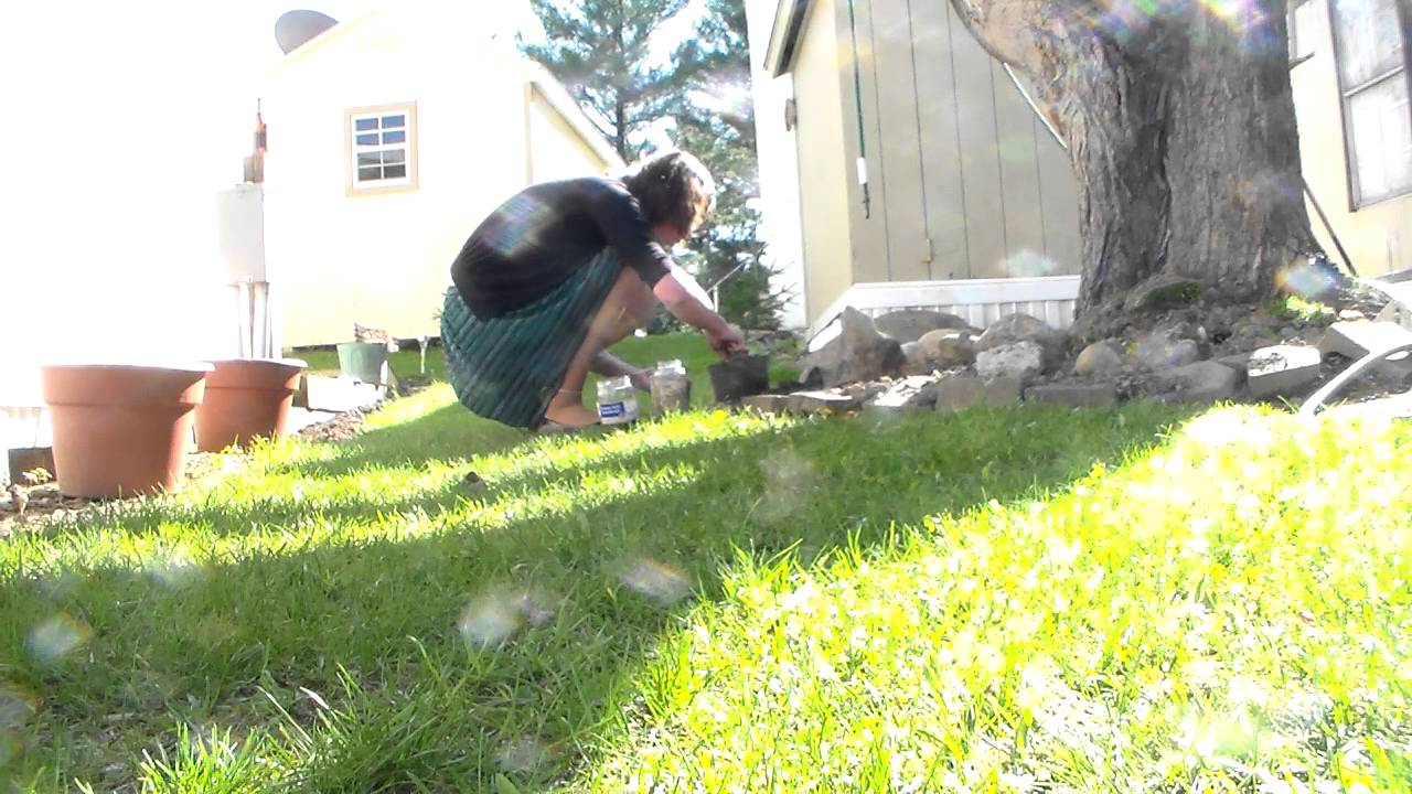 Yard work part 11 - YouTube