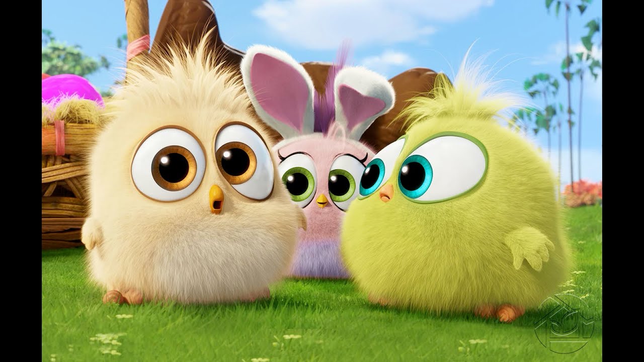 angry birds, rovio, angry birds movie, fun, angry birds toons, angry ...