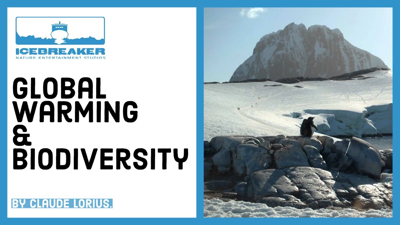 #13: How does global warming affect biodiversity? - YouTube
