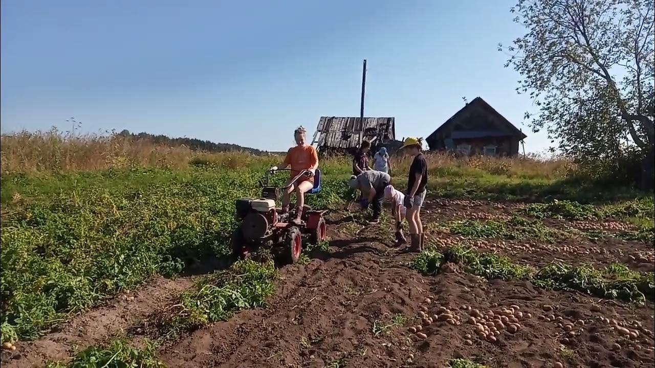 Мотоблок Угра с приводным адаптером - YouTube