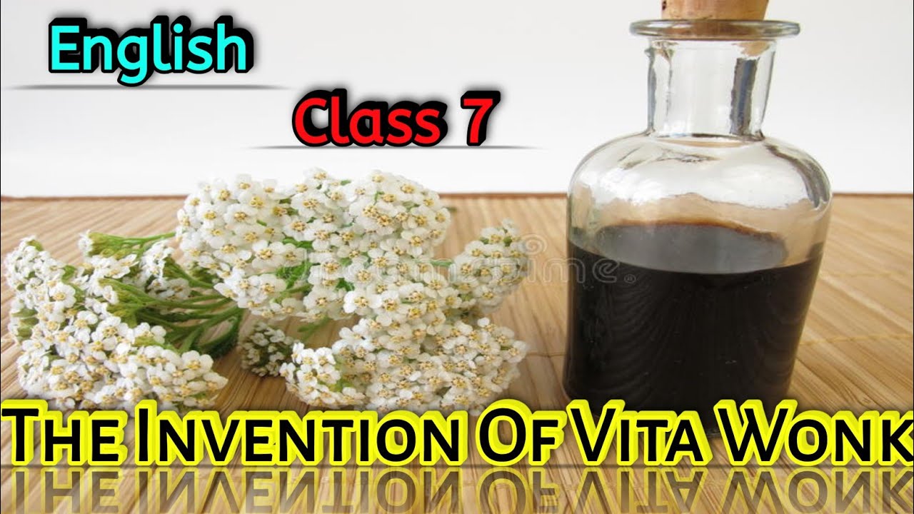 The Invention Of Vita Wonk Class 7 English Summary Explanation the-invention-of-vita-wonk-class-7-english-summary-explanation