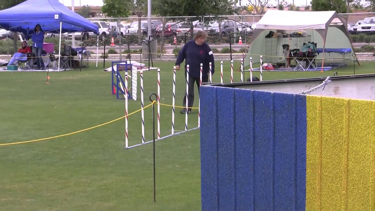 Rottweiler Agility - April 2011 Gracie's 3 QQs - YouTube