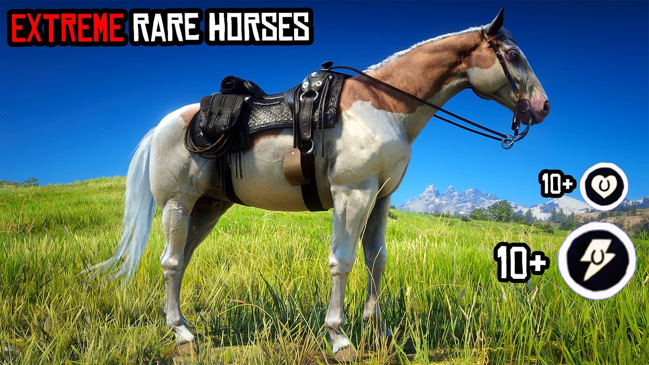 RARE HORSE LOCATIONS RDR 2 - YouTube