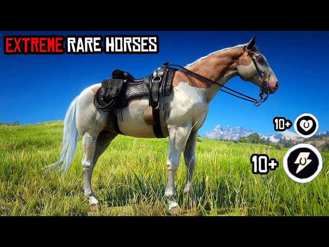 Where To Find Rare Horses In Red Dead Redemption 2 - Infoupdate.org