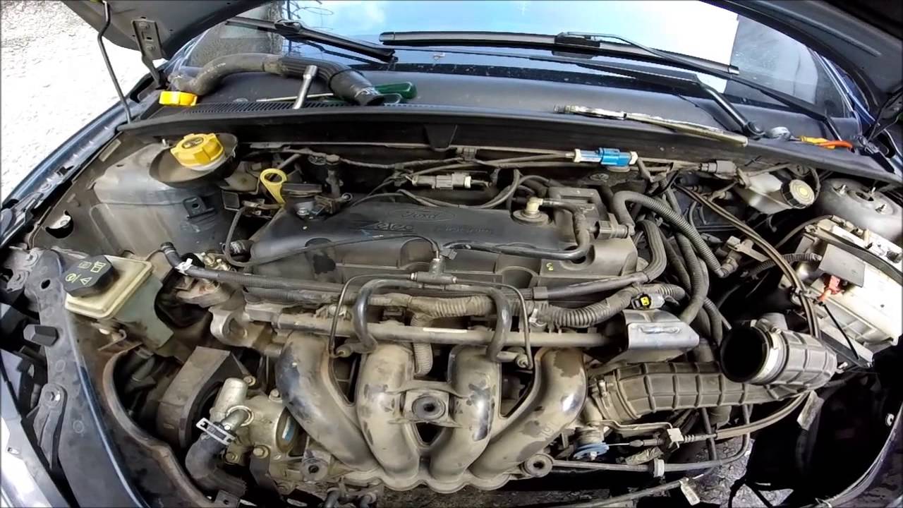 Ford Fiesta 1.6 Rocam Manutenção Preventiva e Lavagem do Motor & AKN ...