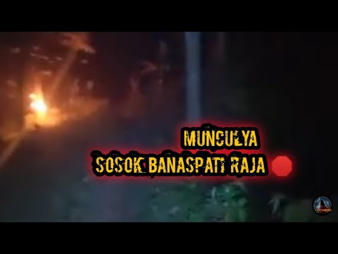 KEMUNCULAN SOSOK BANASPATI RAJA 🛑 - YouTube