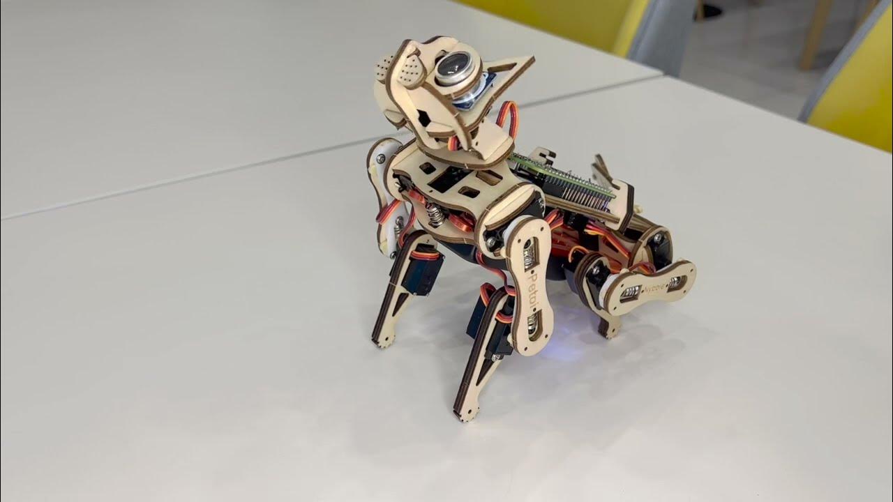 Voice Recognition Raspberry PI | Robot Cat Nybble - YouTube