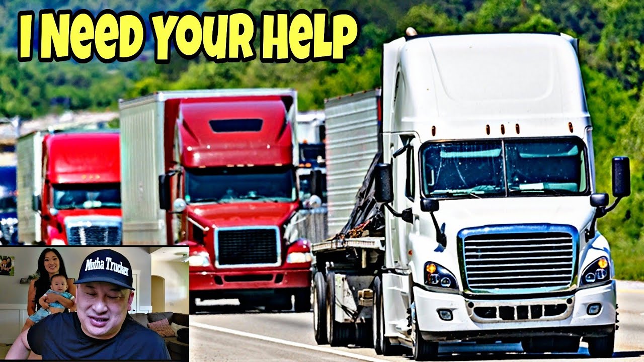 I Need Your Help Truck Drivers 🤯 This Will Change My Life 😵 - YouTube