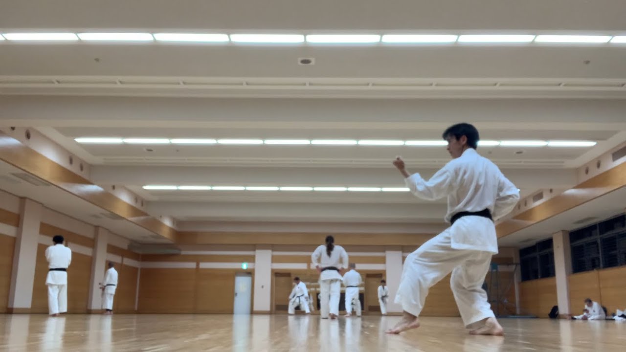 Unsoku-shodan, from side, normal speed (運足初段 横から 通常のテンポで) - YouTube