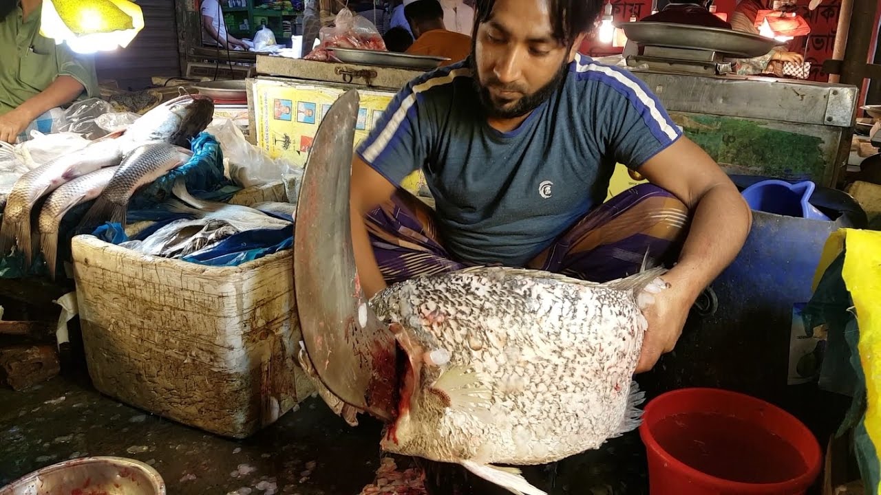 Big Black Sea Bass Fish Slice Into Pieces In Fish Market bangladesh ...