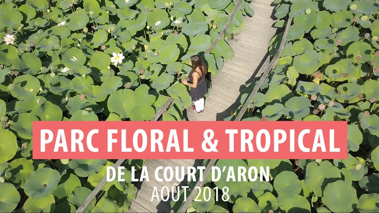 #4 // PARC FLORAL & TROPICAL DE LA COURT D'ARON // DRONE // 4K - YouTube
