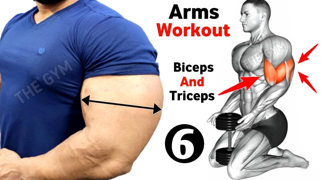 How to build your Biceps workout fast ( 5 exercise ) - YouTube