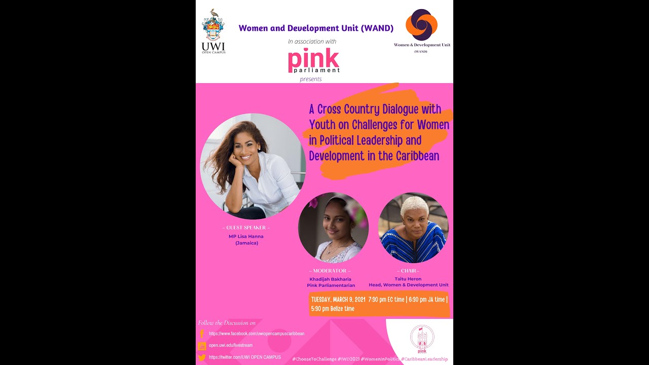 Gender and Politics | Pink Parliament Webinar 2 - YouTube