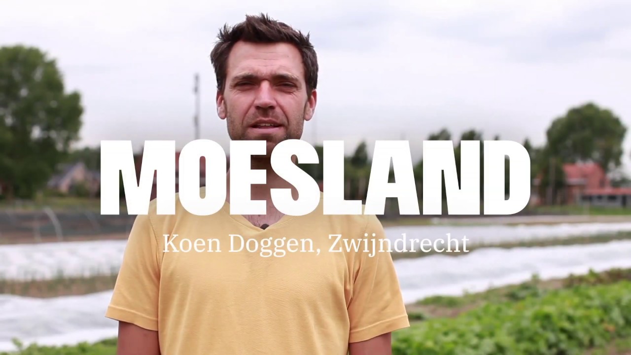 Heeft jouw gemeente de oplossing voor deze boeren? - Koen, Moesland ...