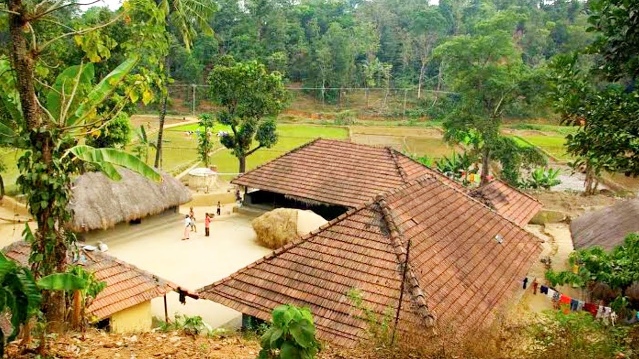 India Countryside, Indian Village, Tribal Village, Odisha Village ...