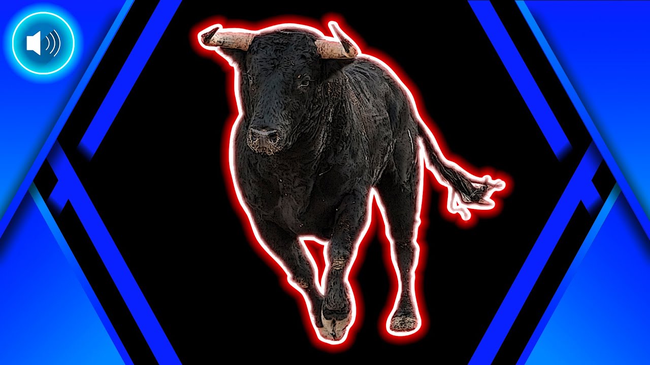 SONIDO DE TORO - efecto de sonido - YouTube