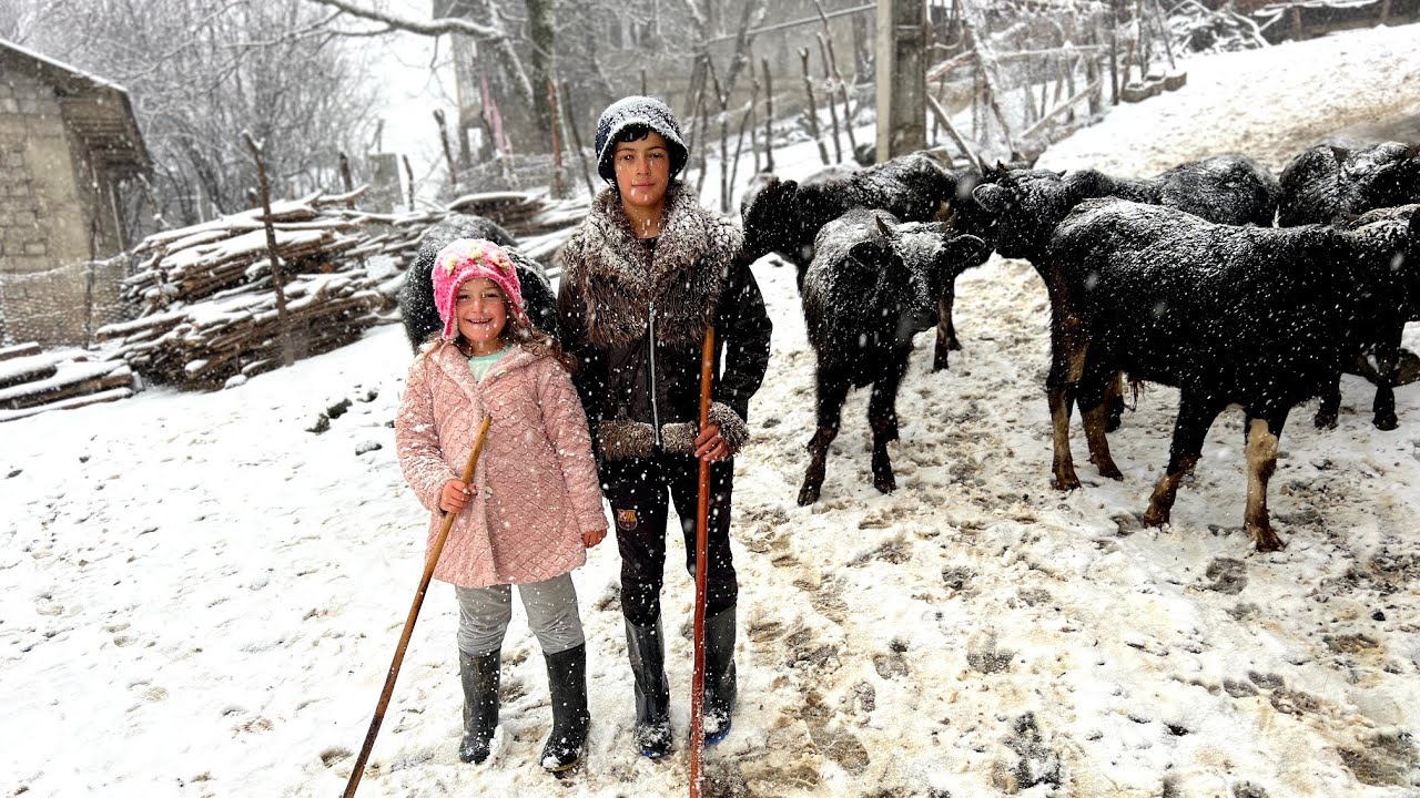 Nomads Daily Life in a Cold and Snowy Winter Day in North of Iran - YouTube