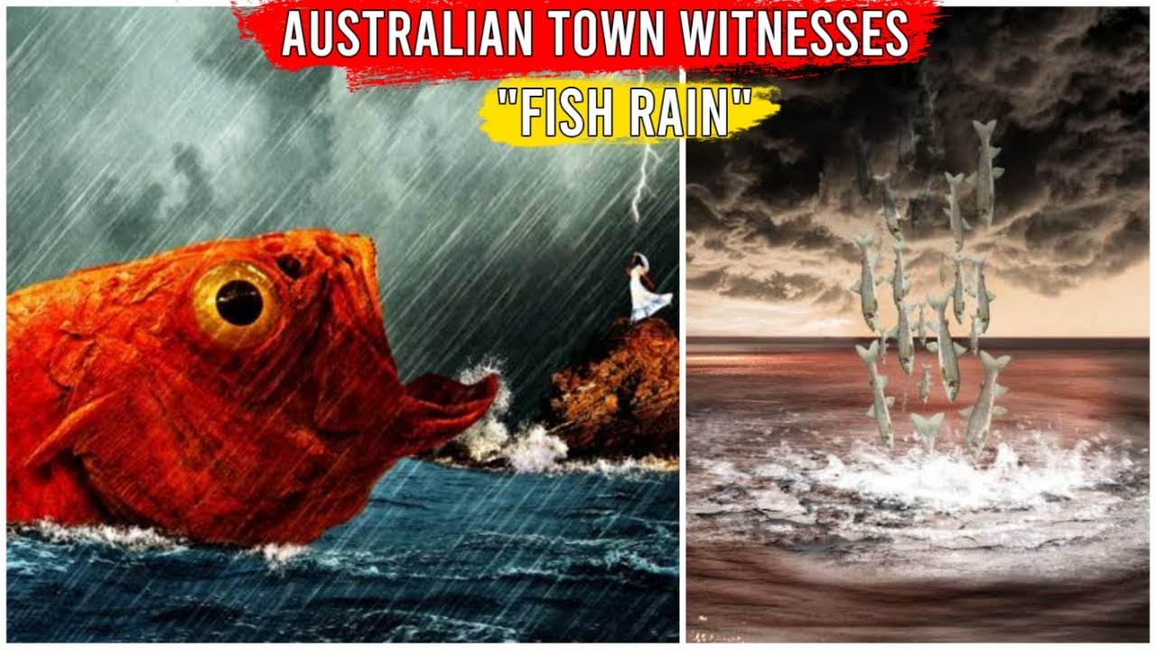 Australian Town Witnesses "Fish Rain" From The Sky - YouTube