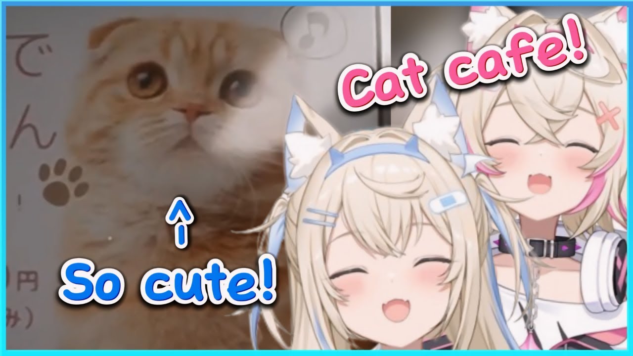 When FuwaMoco meet a cat.... [FuwaMoco/HoloEn] [EngSub] - YouTube