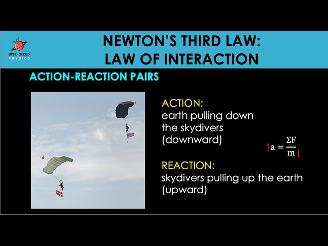Examples Of Law Of Interaction Newton's First Law Of Motion Examples