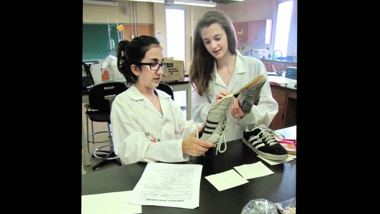 Classroom Science Investigation - YouTube