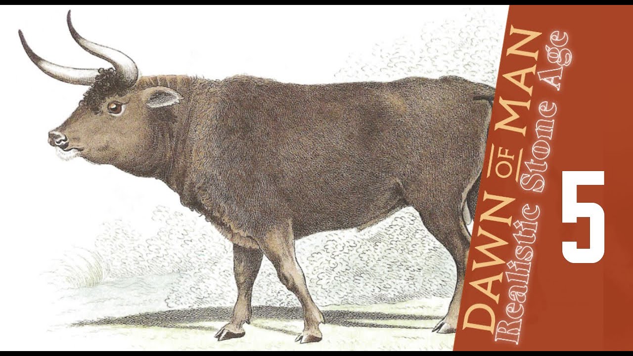 Dawn Of Man: S5 Ep17 - Realistic Stone Age - I want some cows - YouTube
