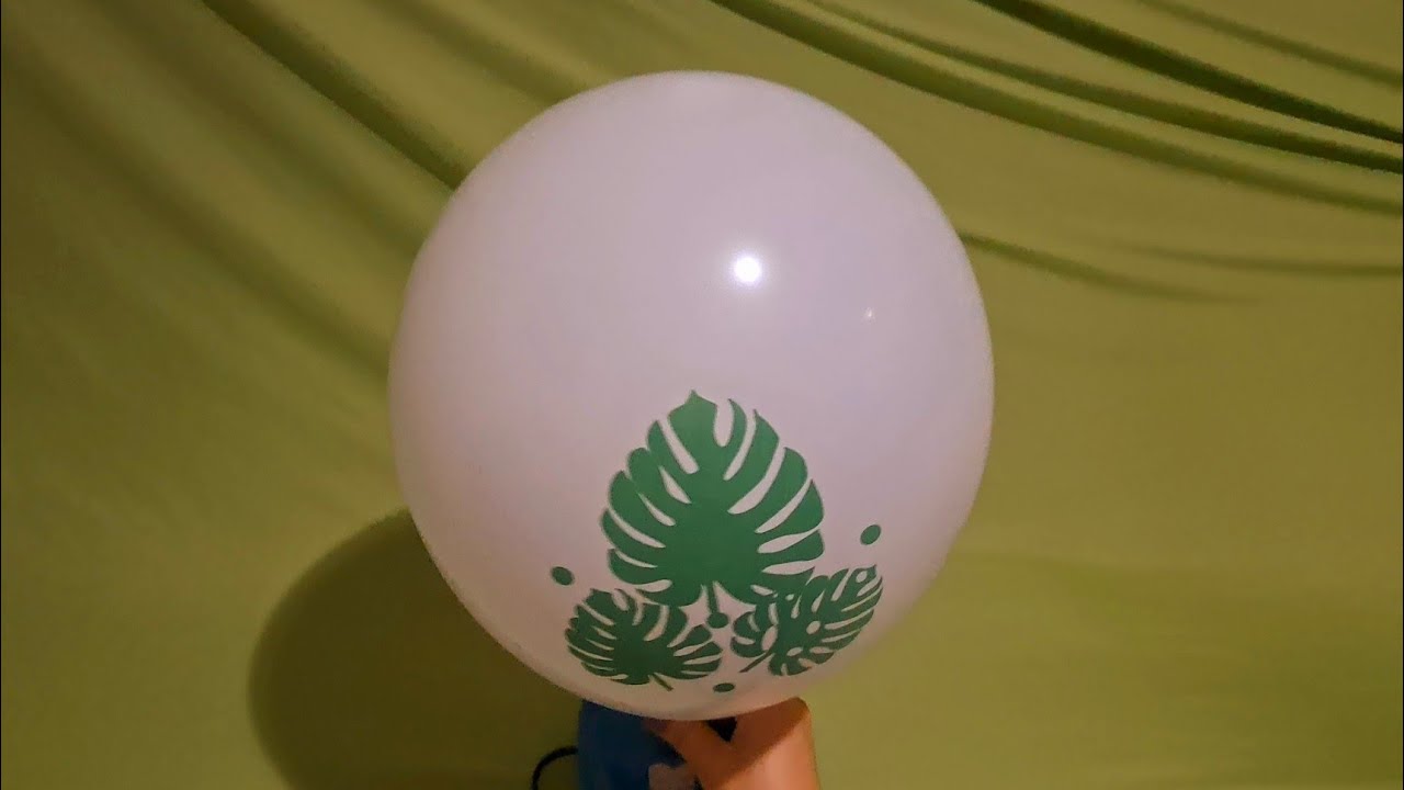 INFLATING AND DEFLATING FUN JUNGLE ANIMAL HAPPY BIRTHDAY BALLOONS ...